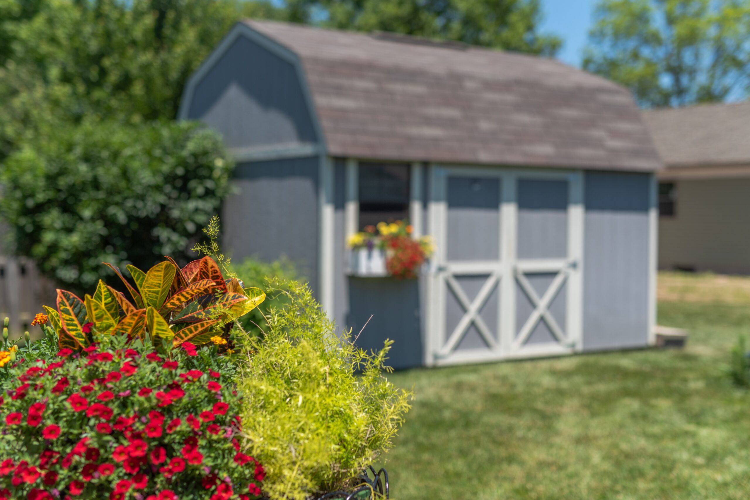 Why These 3 Rooms Need You To Add A Backyard Shed - Cook Portable ...